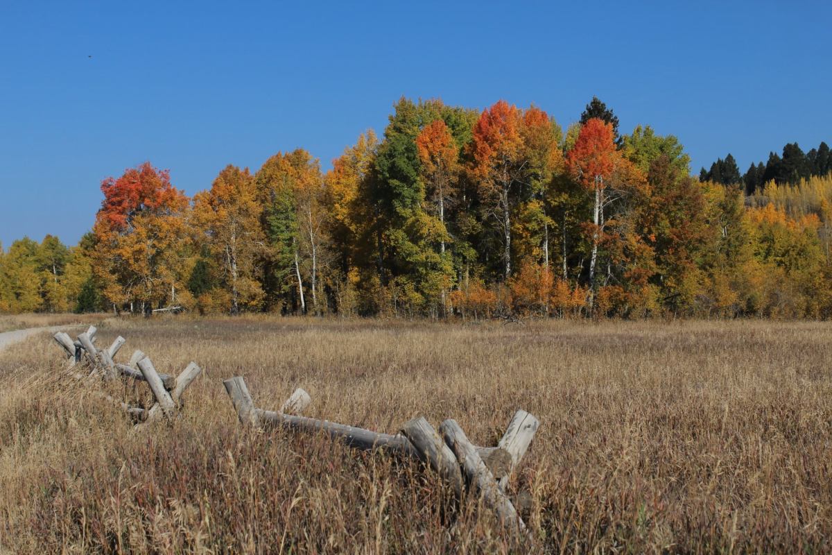 10 Things To Do During the Fall Season Before it’s Over – lexieonline